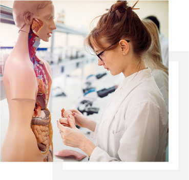 Personalized IB MYP Biology Tuition for MYP 1 to MYP 5